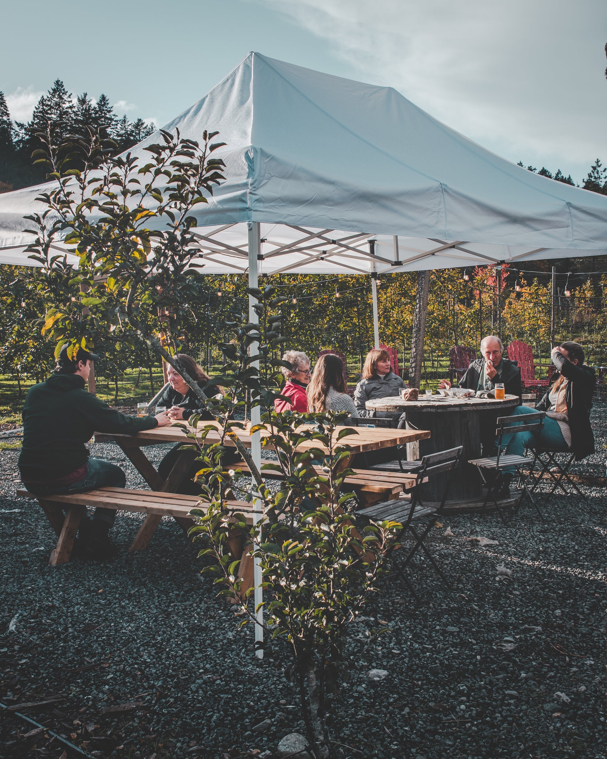 Junction Orchard & Cidery – Junction Cidery