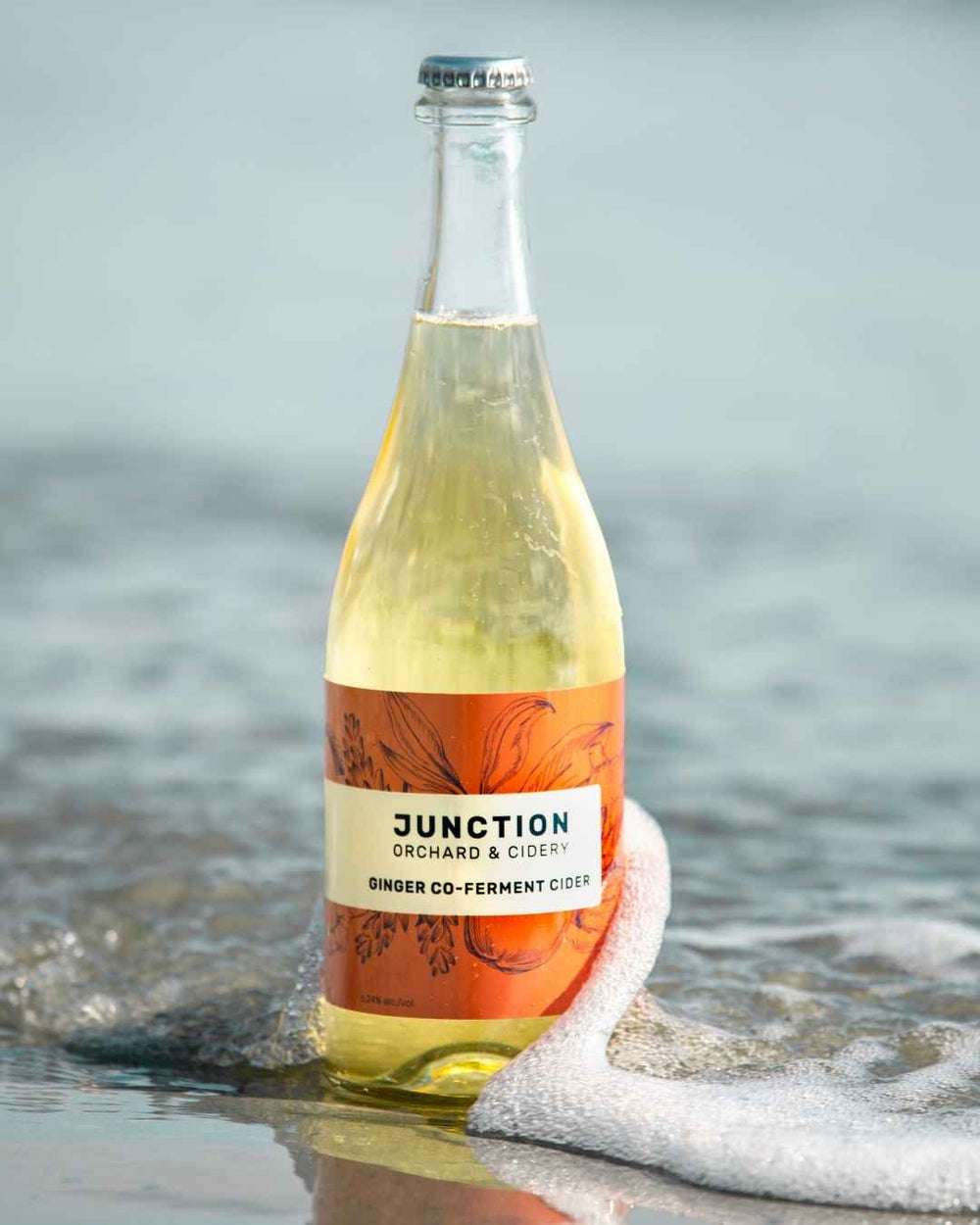Current Ciders – Junction Cidery