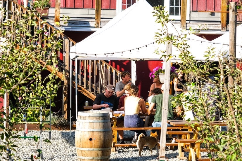 Gift Card – Junction Cidery